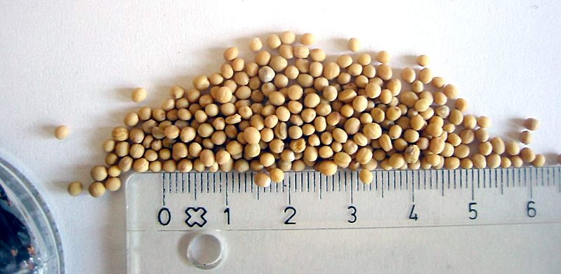 Senap – Smaka Sverige